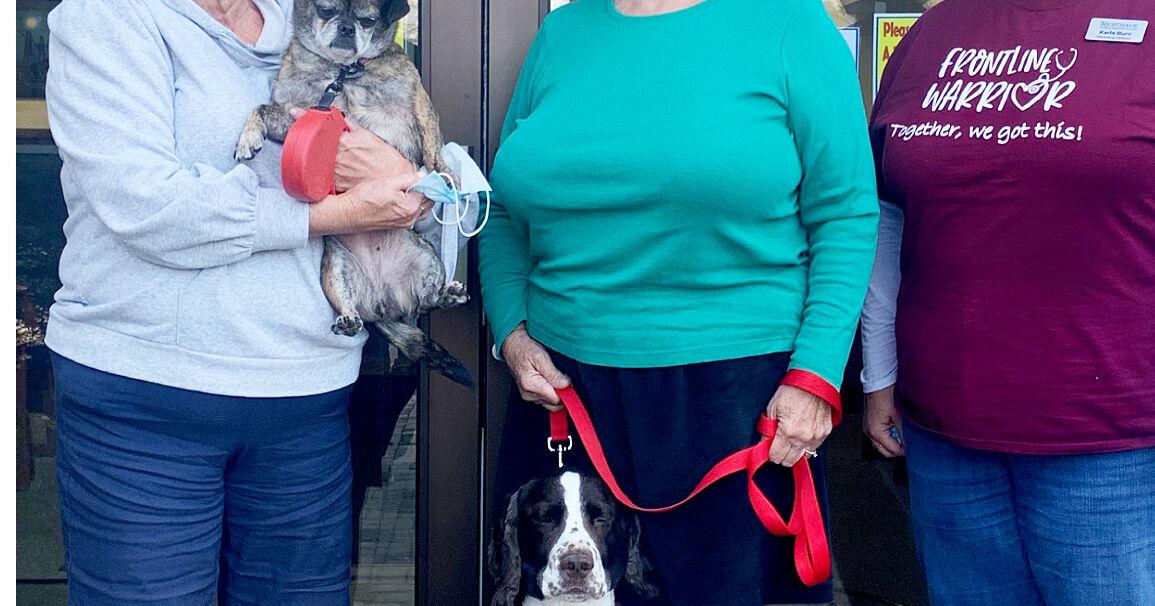 Morrison dog park | Local News | clintonherald.com