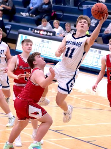 Kramer and Mangelsen highlight RVC North Division 1st Team All ...