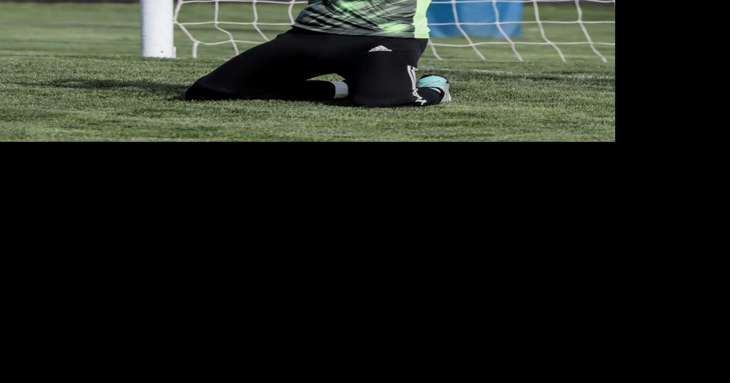 Irish drop season finale to Cougars 3-2 | High School Sports ...