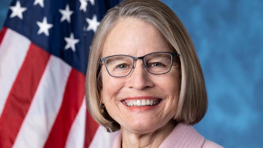 ELECTION 2024: Bohannan to face Miller-Meeks in November election ...