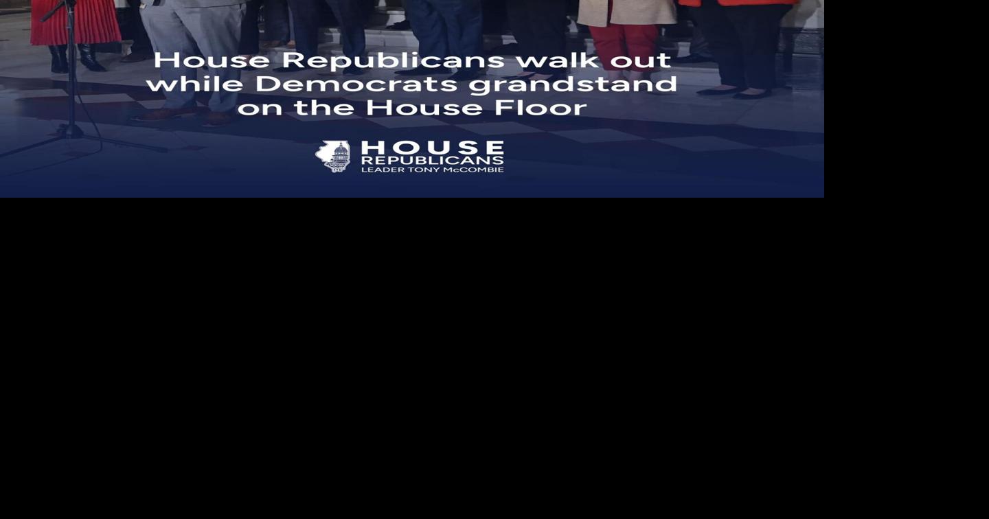 Illinois House Republican Caucus walk out of session in protest ...