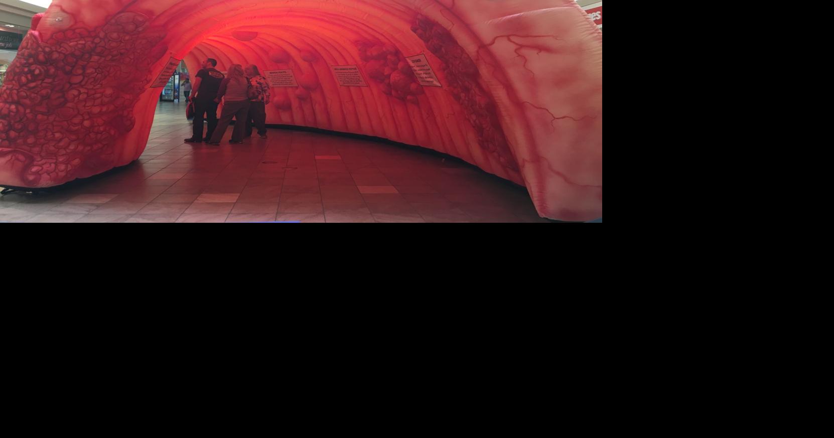 Giant colon in Ky. mall promotes health education, raises cancer ...
