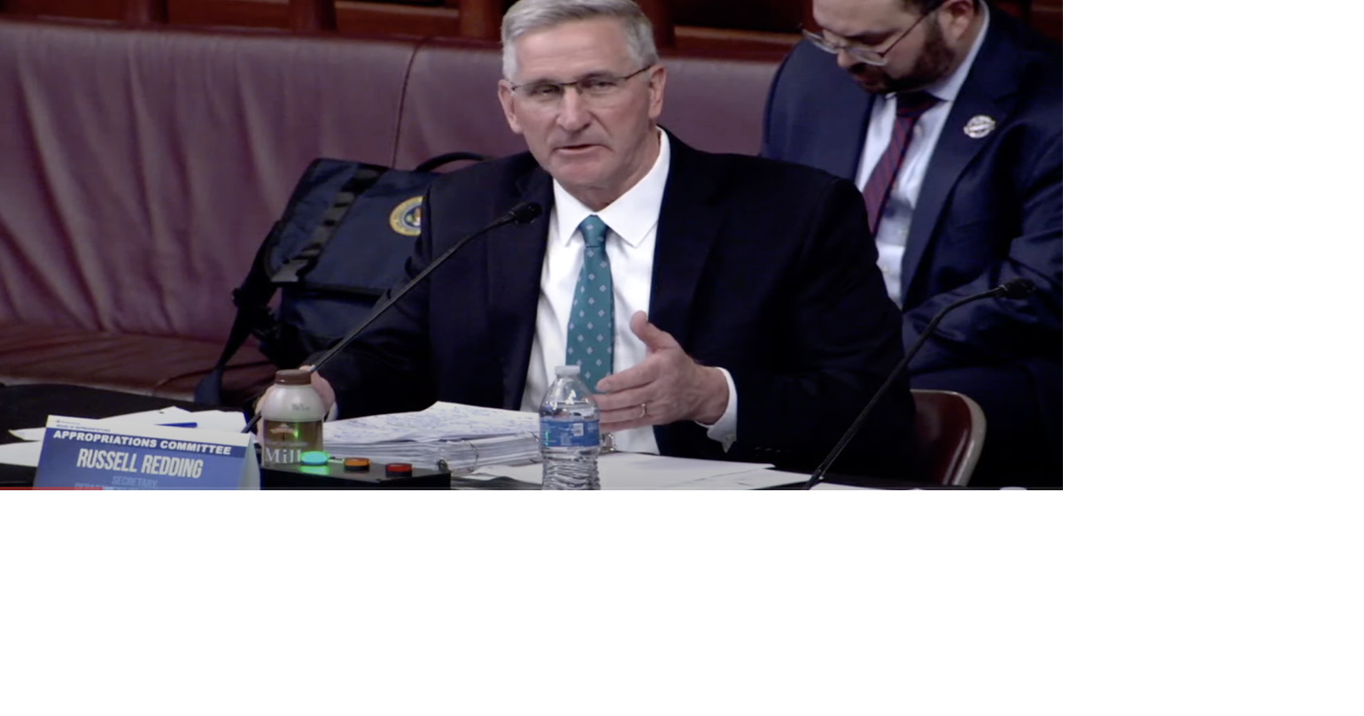 Pa. Ag secretary talks bird flu, food deserts during House budget ...