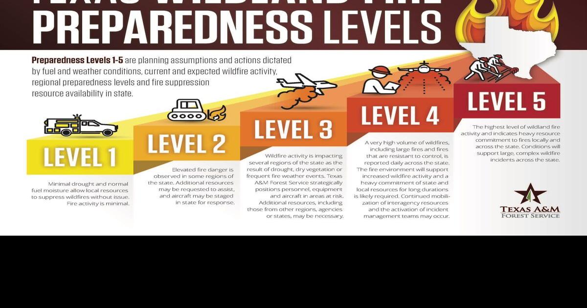 Texas A&M Forest Service raises wildland fire preparedness levels ...