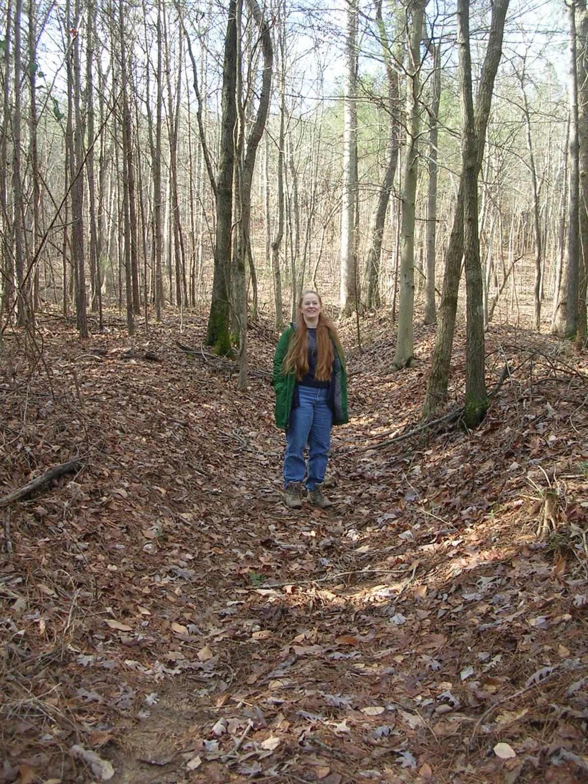 Efforts to save Civil War earthworks focus on North Georgia ...