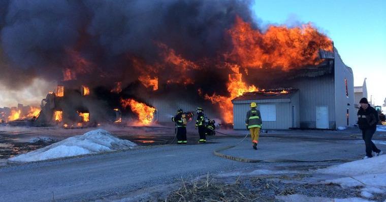 50,000 cage-free chickens killed in massive poultry farm fire | News ...