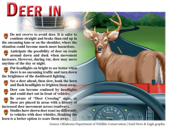 deer aware