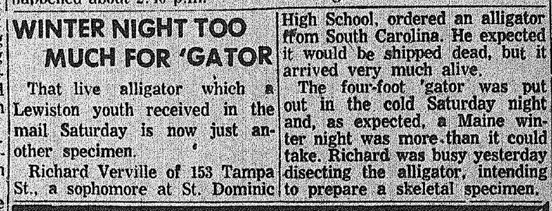 Experts say broken system failed mentally ill gunman | News | cnhinews.com