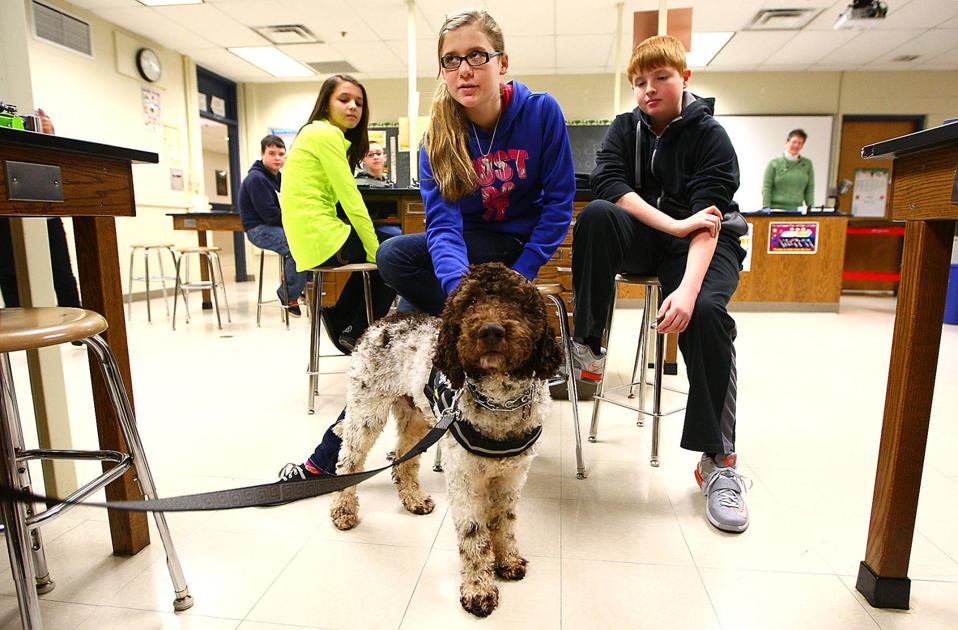 Therapy dogs giving comfort in schools | News | cnhinews.com