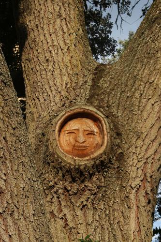 Tree spirits of St. Simons: What stories do they tell? | Ci ...