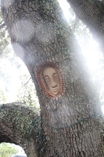 faces in trees st simons