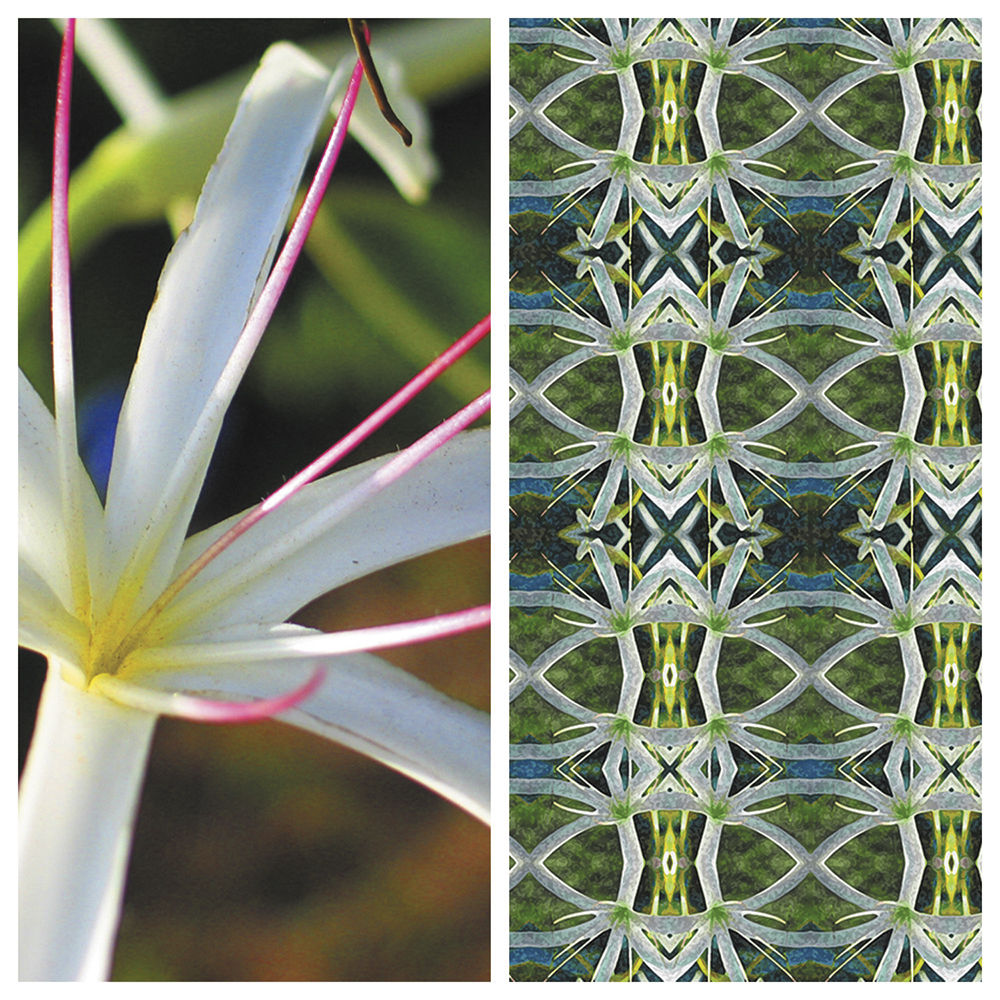 Fabric of nature | Features | coastalillustrated.com