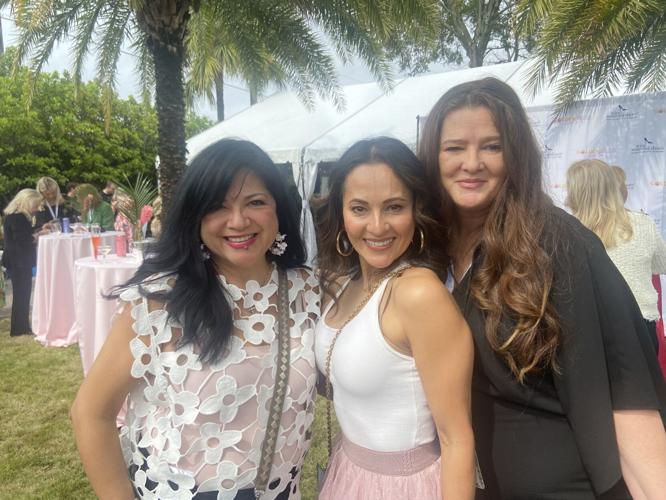 Wine Women & Shoes® benefits hospice auxiliary | Gallery ...