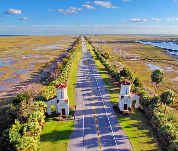 Surf and See websites + social to follow in the Golden Isles | Ci ...
