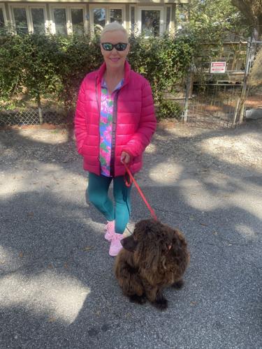 Pooch parade raises funds for No Kill Glynn County | Gallery ...