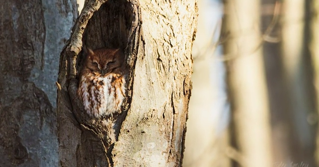 Tyler Smiley Photography | Features | coastlife.com