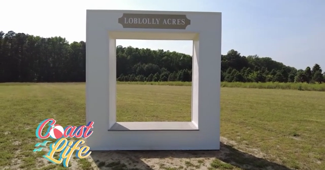 Discovering the Success Story of Loblolly Acres | Your Life | coastlife.com