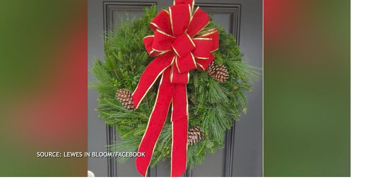 Lewes in Bloom: Christmas Tree Wreath | Features | coastlife.com