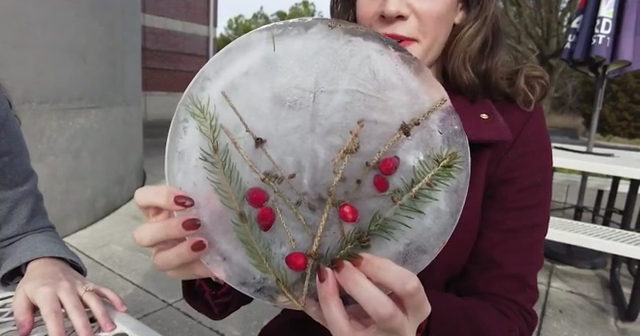 Icy Creations: CoastLife Craft DIY Frozen Suncatchers | Features ...