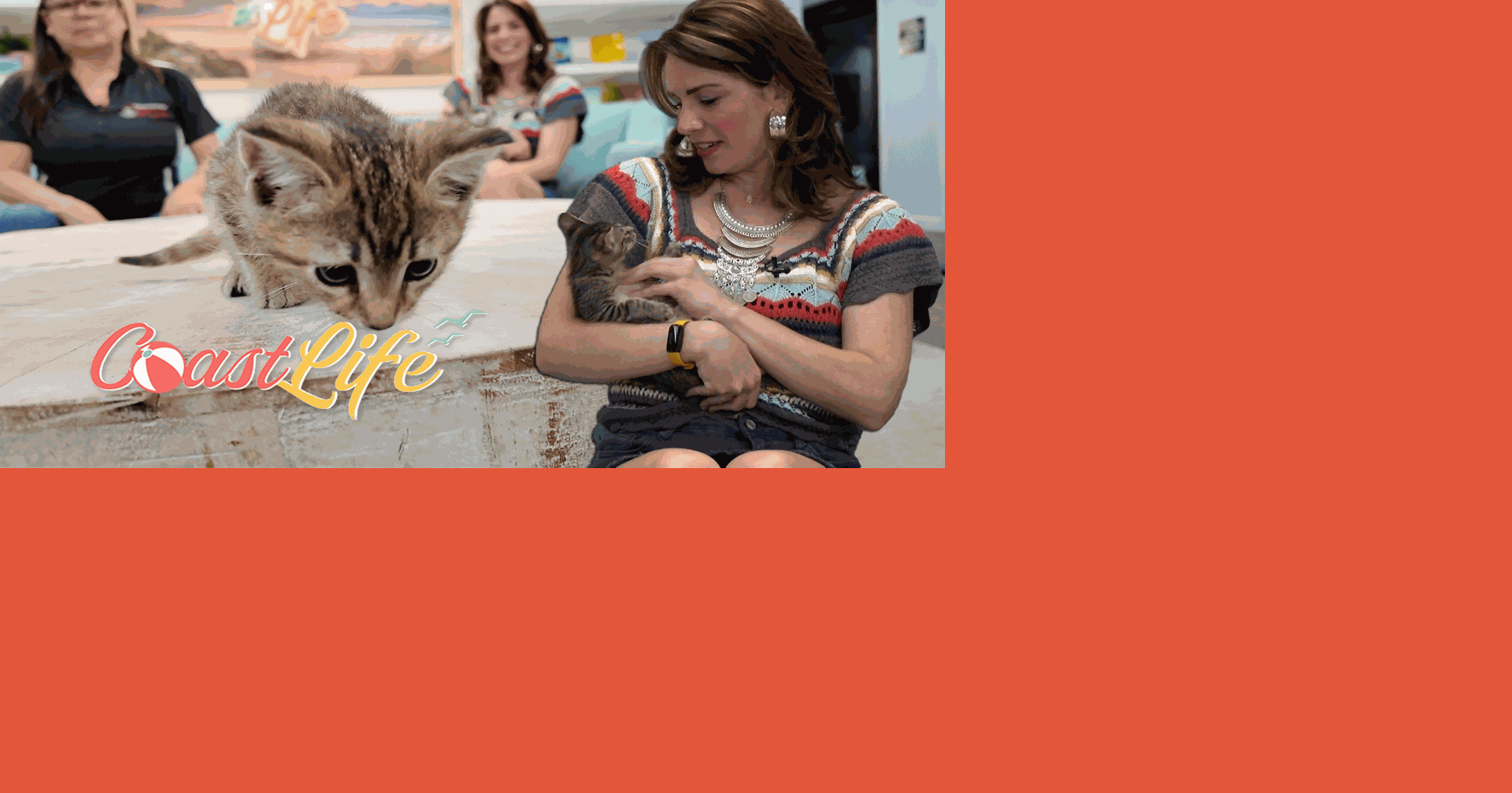 Pet of the Week: Meet Sasha & Wallflower! | Features | coastlife.com