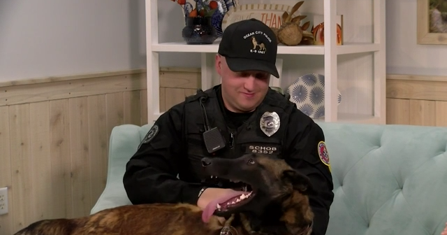 OCPD's K9 Finn | Features | coastlife.com