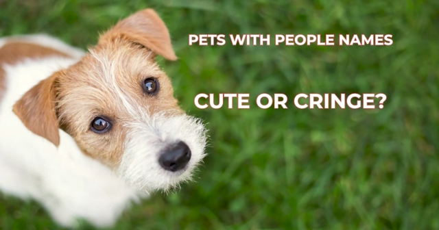 The Great Debate: Are Human Names for Pets Cute or Cringe? | Features ...