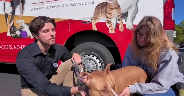 Spencer Tober Introduces This Week’s Adorable Adoptable Pet ...