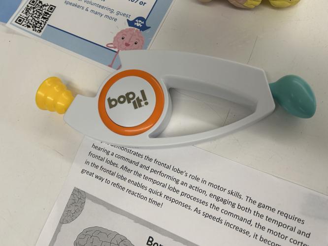 Brain Dissections and “Bop It!”: OCC's Psi Beta Honor Society’s real ...