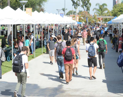 Transfer Day returns after two year hiatus | News | coastreportonline.com