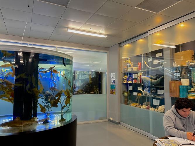 OCC’s Dennis Kelly Aquarium partners with Hubbs-SeaWorld Research ...