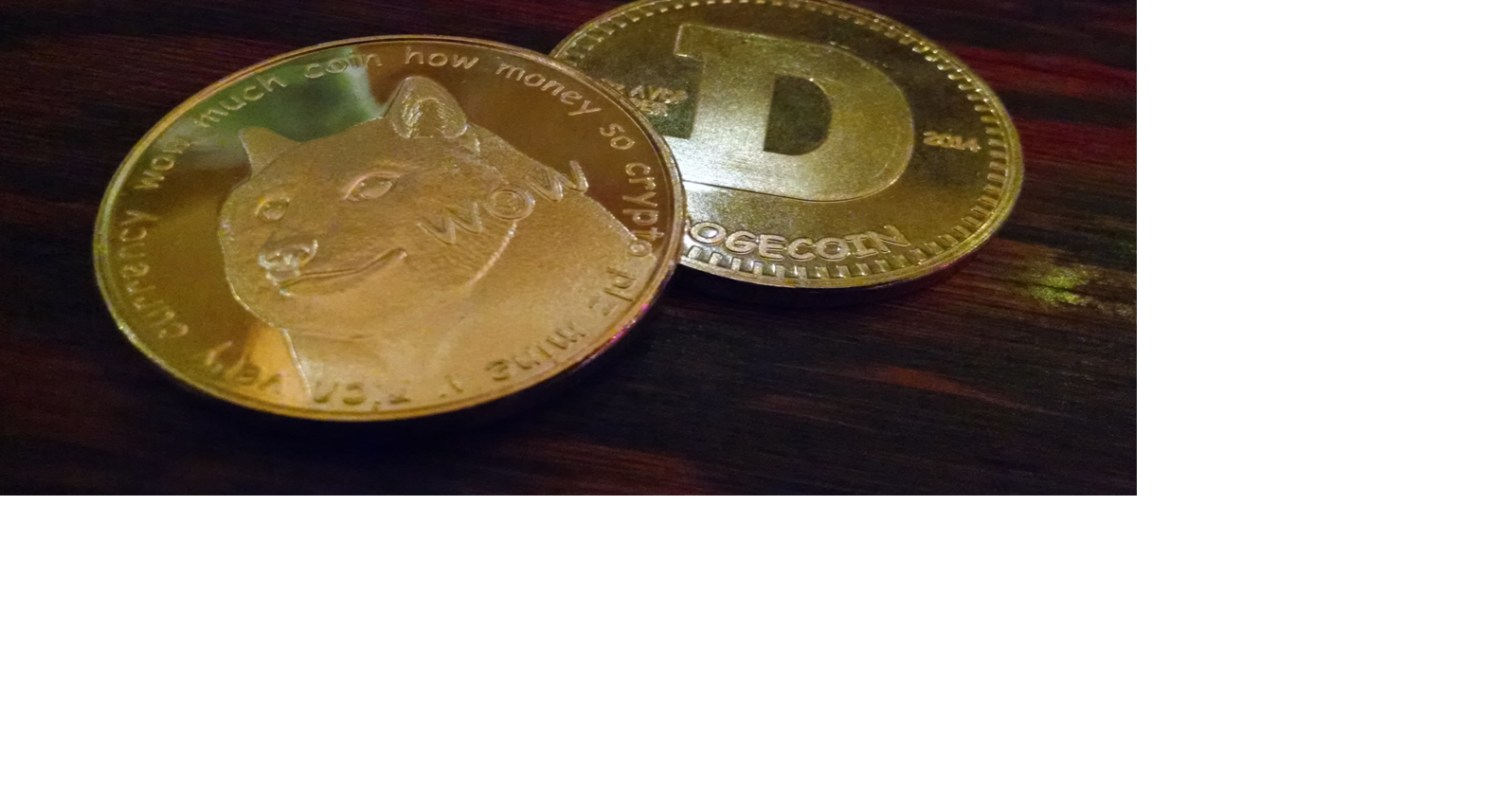 Investing in the Dogecoin trend | Features | coastreportonline.com