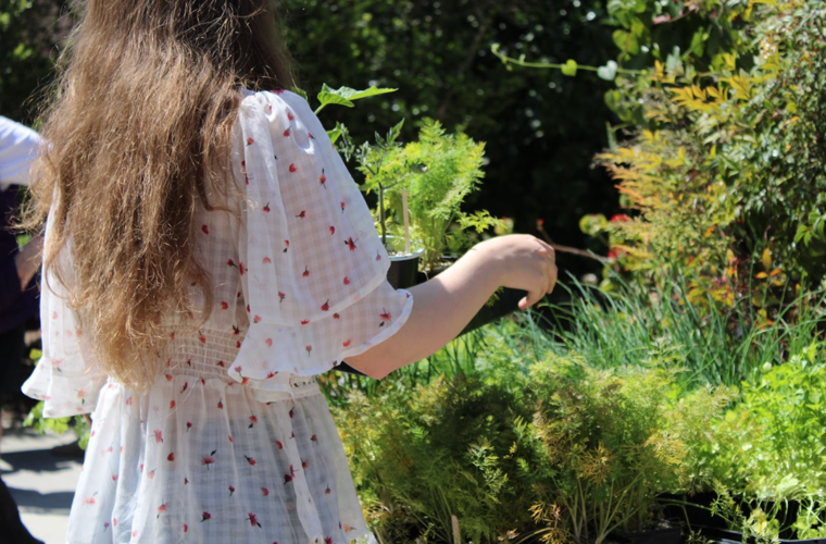PHOTOS: Annual plant sale blossoms into community event | Arts And ...