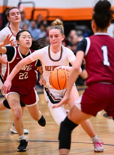 Delaney Dorwin named to all-state basketball team | Sports ...