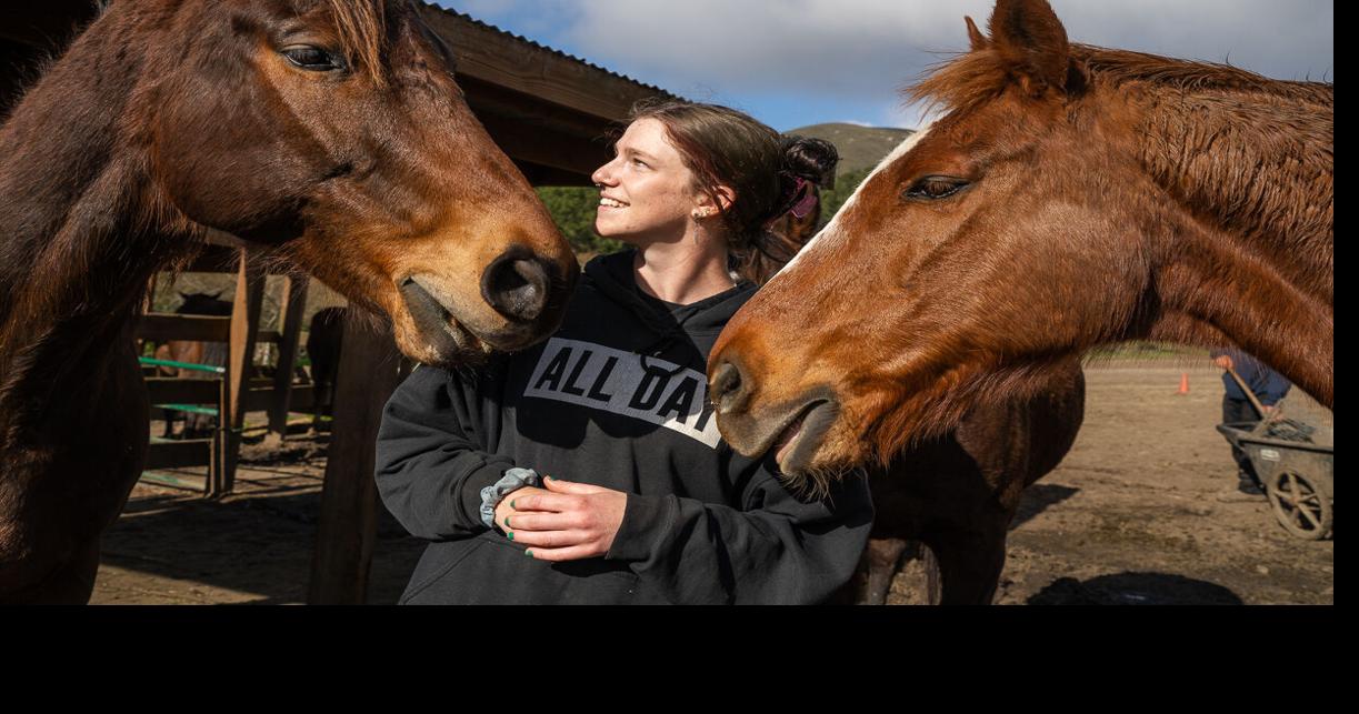 'We are very concerned': Equestrians spooked once again over fear of ...