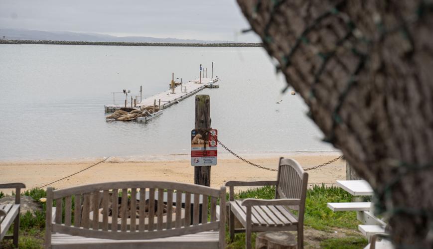 An anchor for Coastside society | Coastside Magazine Online ...