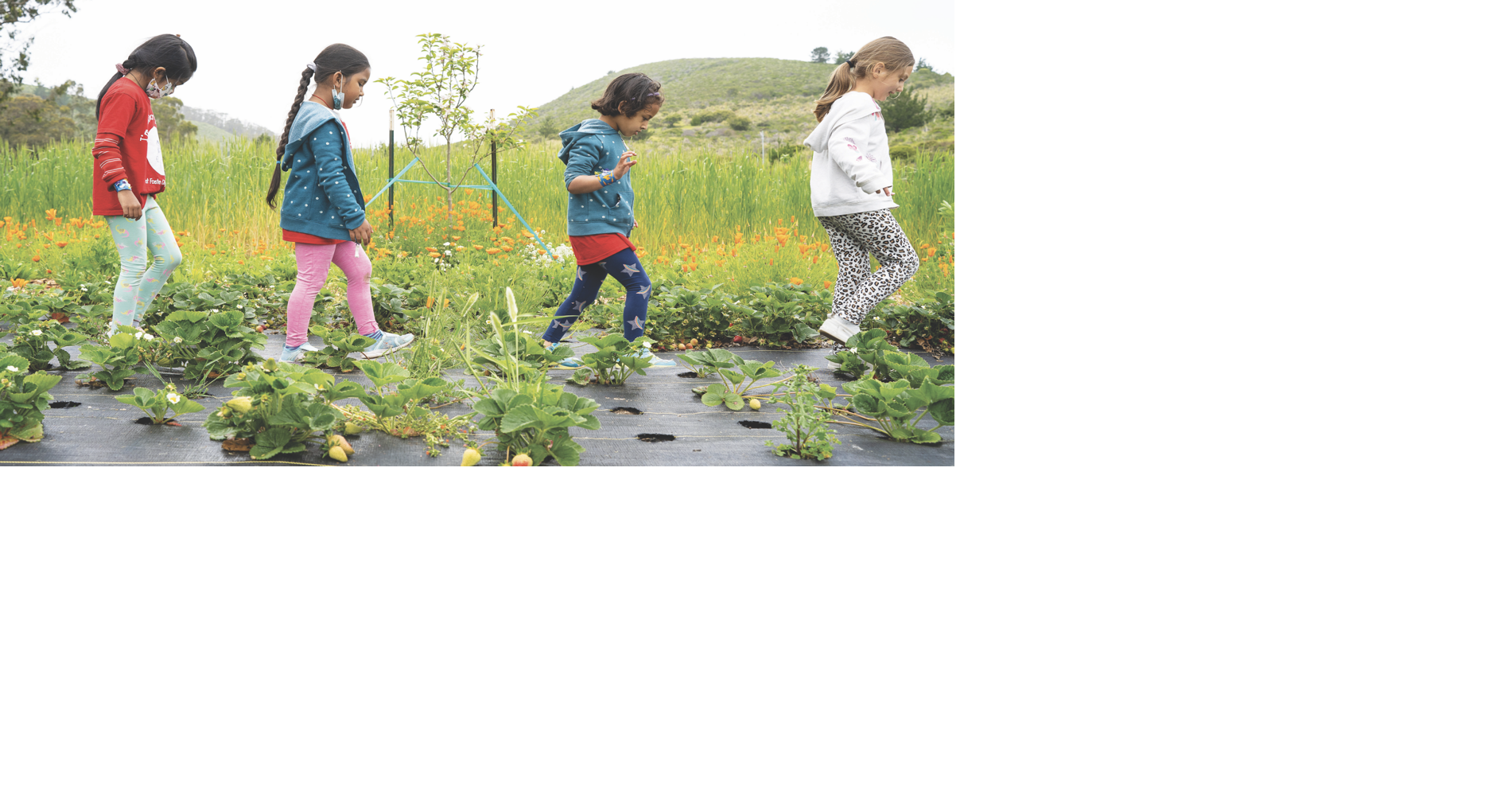 Bayside kids dig into field trips to coastal farms | Community ...