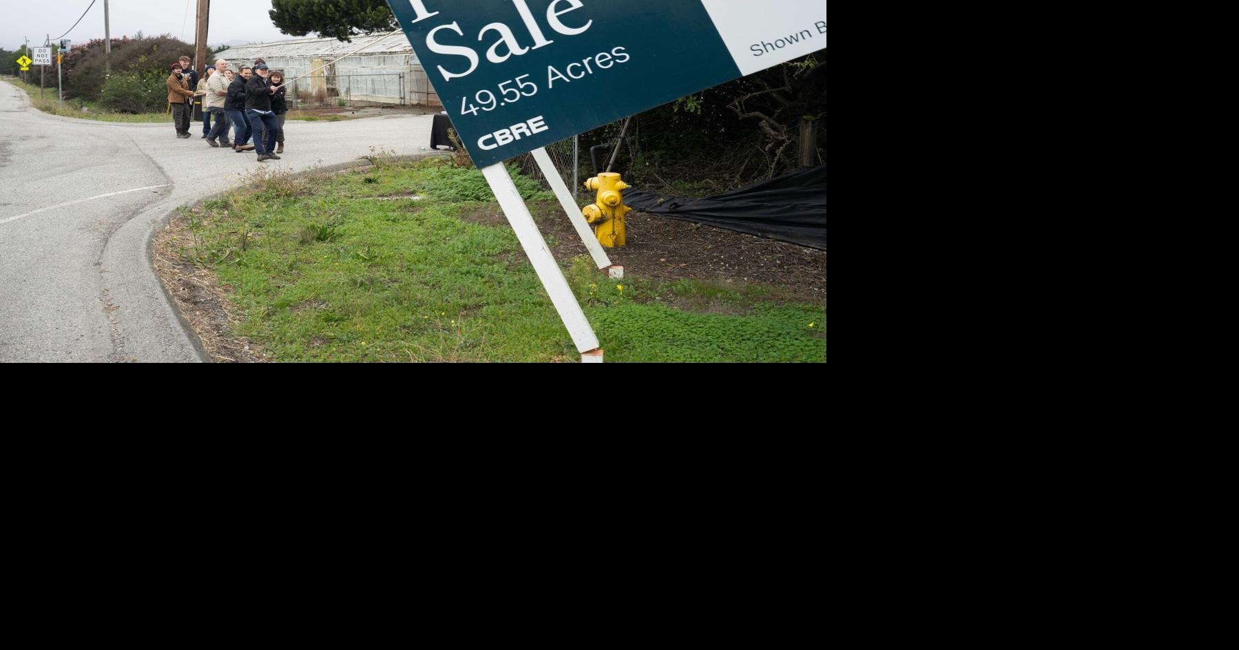 New owner shares plans for Bay City Flower property | News ...