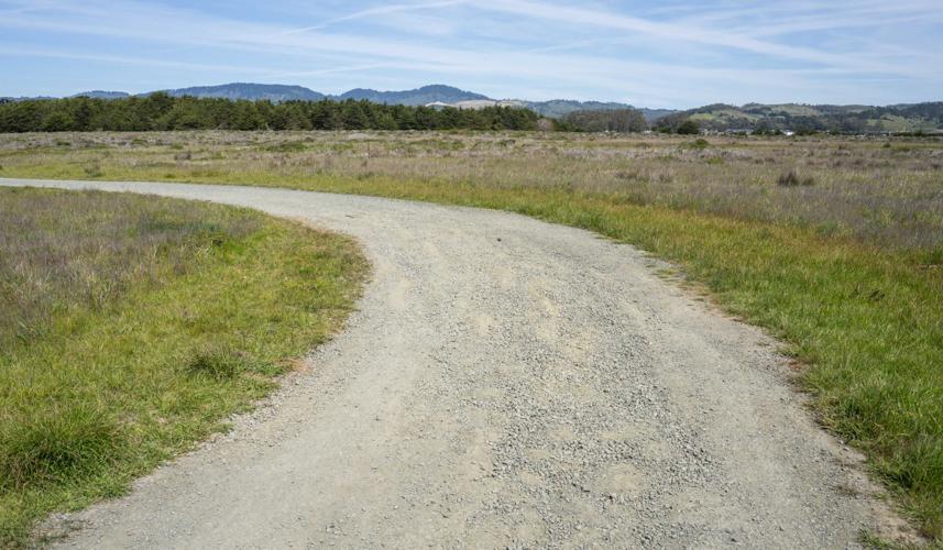 Apple TV billed for Coastal Trail damage | News | coastsidenews.com