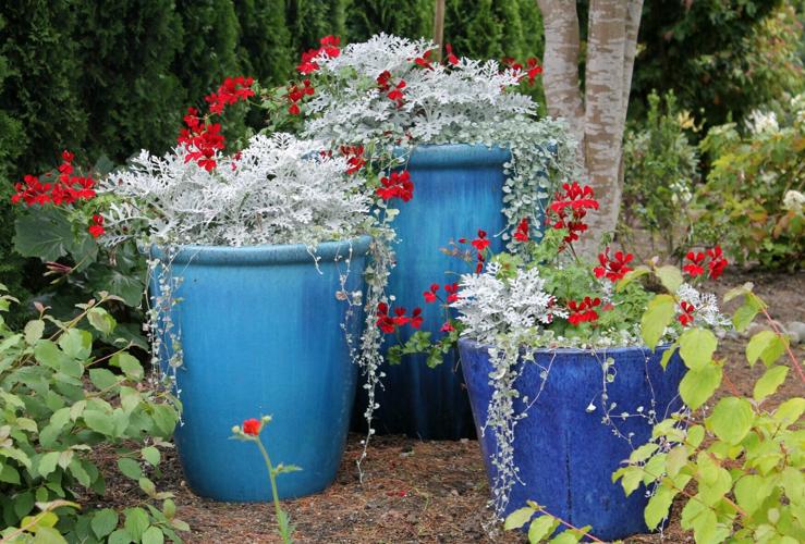 Perfect Pots | Coastside Magazine Online | coastsidenews.com