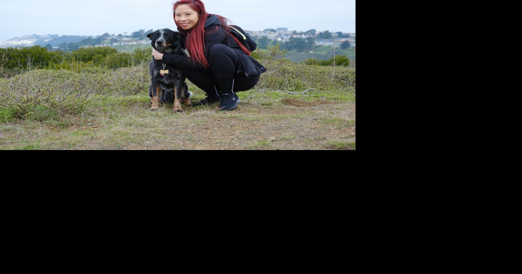 Havoc - Australian Cattle Dog | Coastside Magazine Online ...