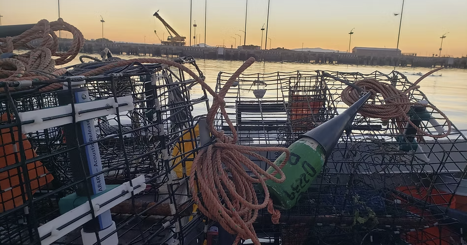 State approves experimental crab nets | News | coastsidenews.com