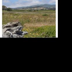 The Coastside - Life on the edge | Coastside Magazine Online ...