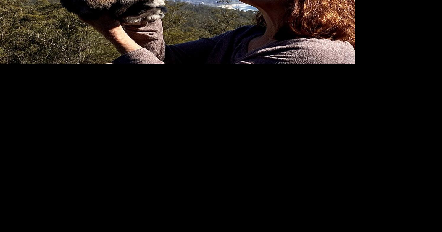 Local author captures her rabbits in new book | Community ...