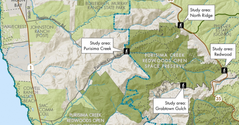 Midpen proposes shuttle to Purisima Creek Redwoods Preserve | News ...