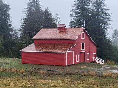 red barn opening hours