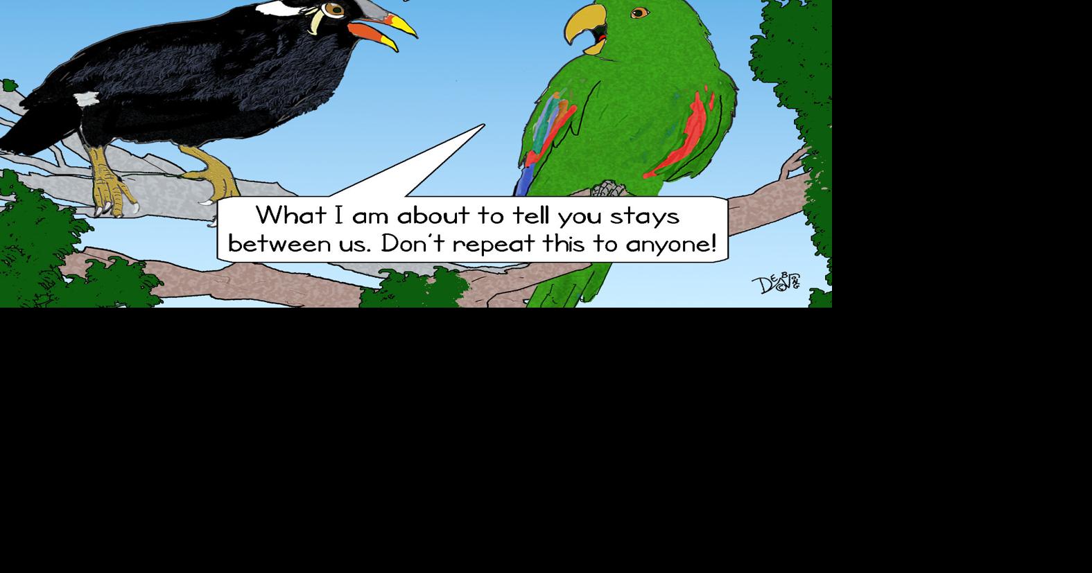 Deb Wong/What I'm Inking | Cartoons | coastsidenews.com