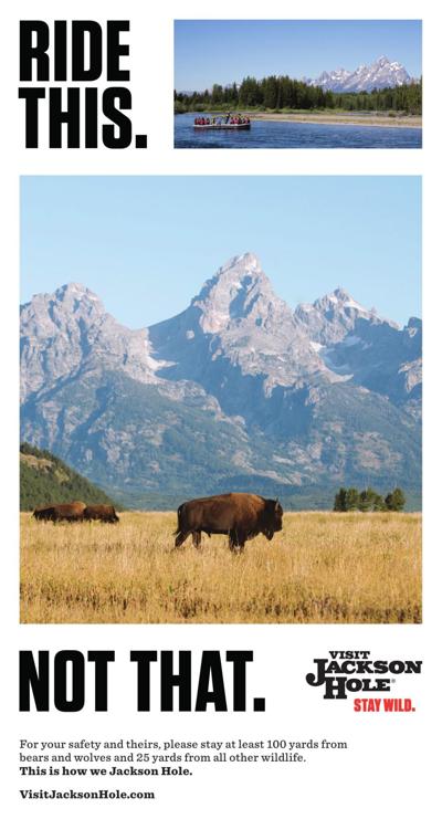 Whitlock Motors | Used Cars, Trucks & Vans | Cody, WY | codyenterprise.com