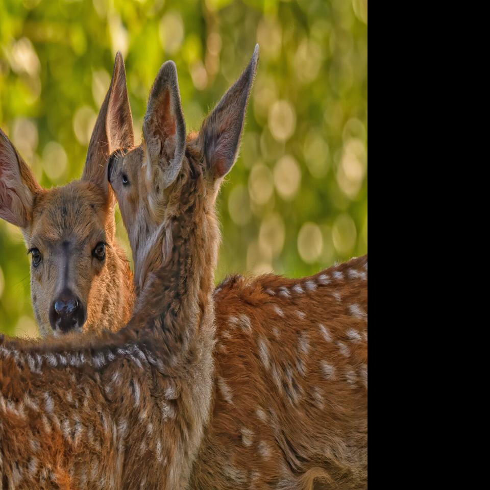 Andrew Sean Kinkade | Obituaries | codyenterprise.com