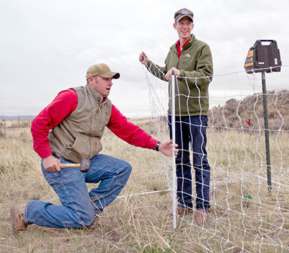 GRIZZLY SERIES: How can grizzlies be kept at bay? | Local News ...