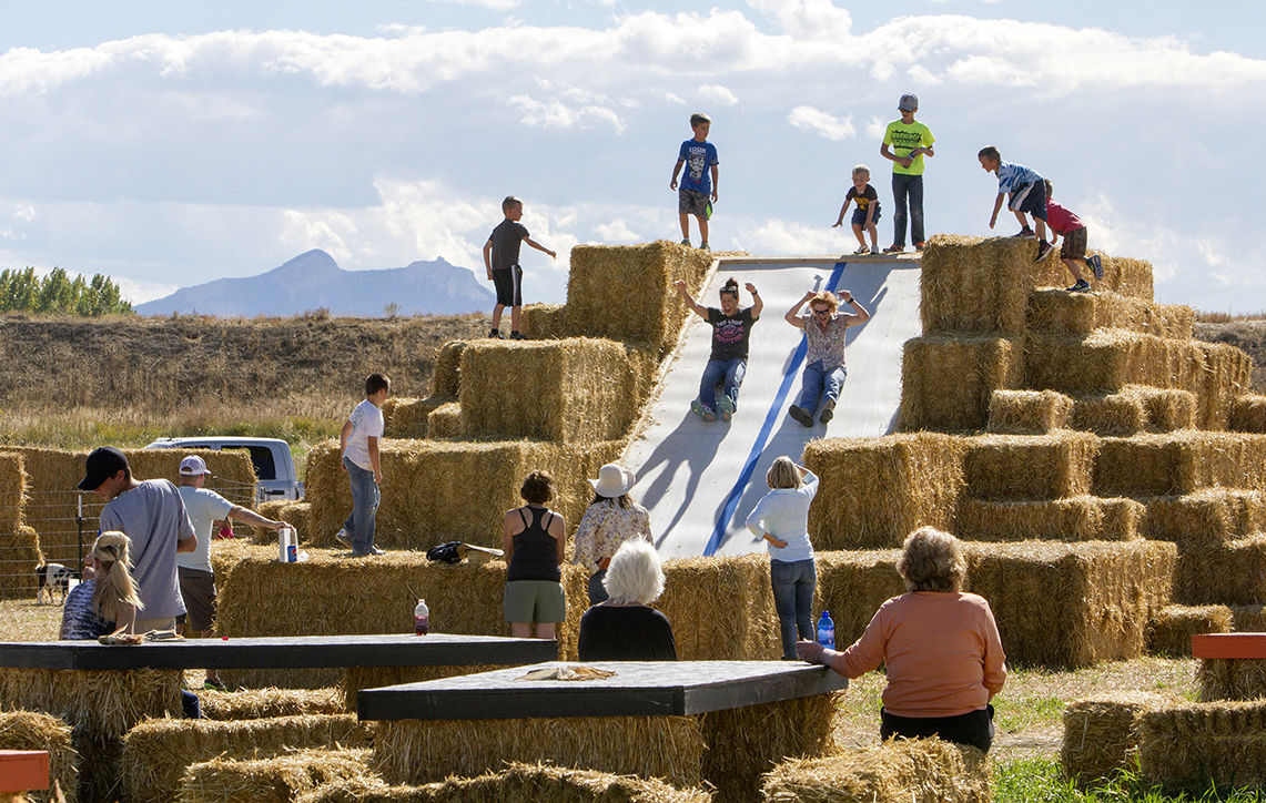 Corn maze offers fall fun | People | codyenterprise.com